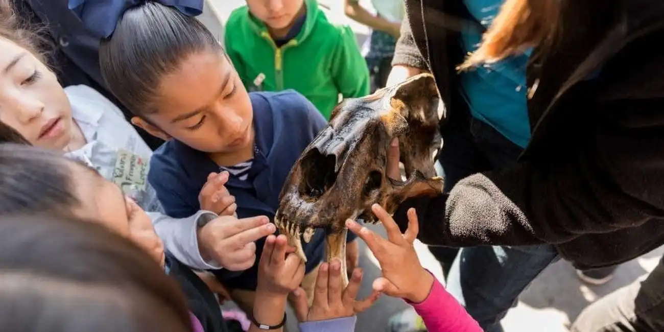 La Brea Tar Pits Museum - Los Angeles, United States | Los Angeles City ...
